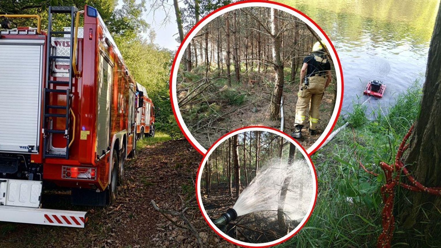 Pożar lasu w Kędzierzynie-Koźlu. Akcja strażaków wspierana z powietrza ...