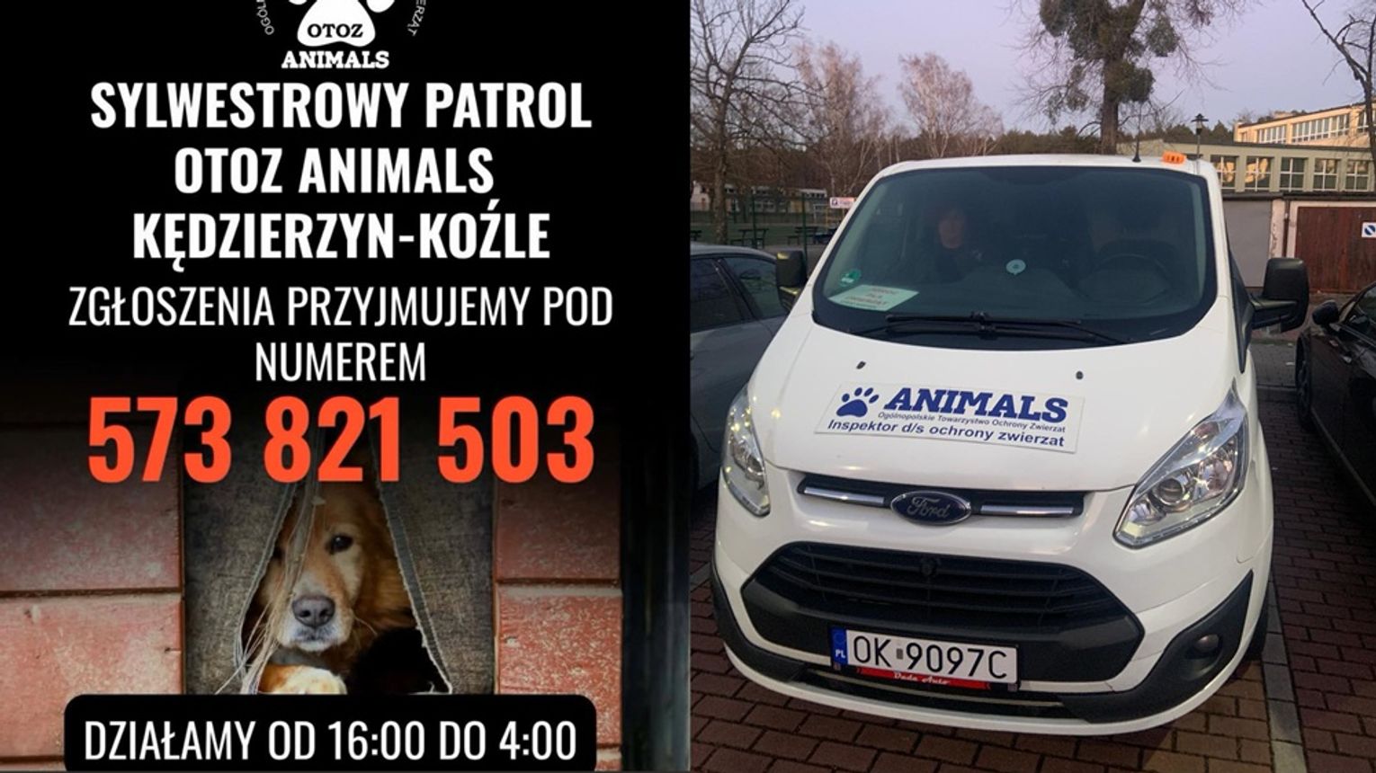 Sylwestrowy patrol OTOZ Animals w Kędzierzynie-Koźlu. Pomoc dla ...